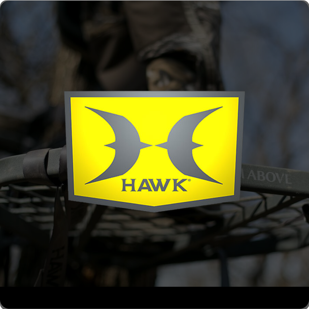 Hawk Hunting – Outdoors For Less