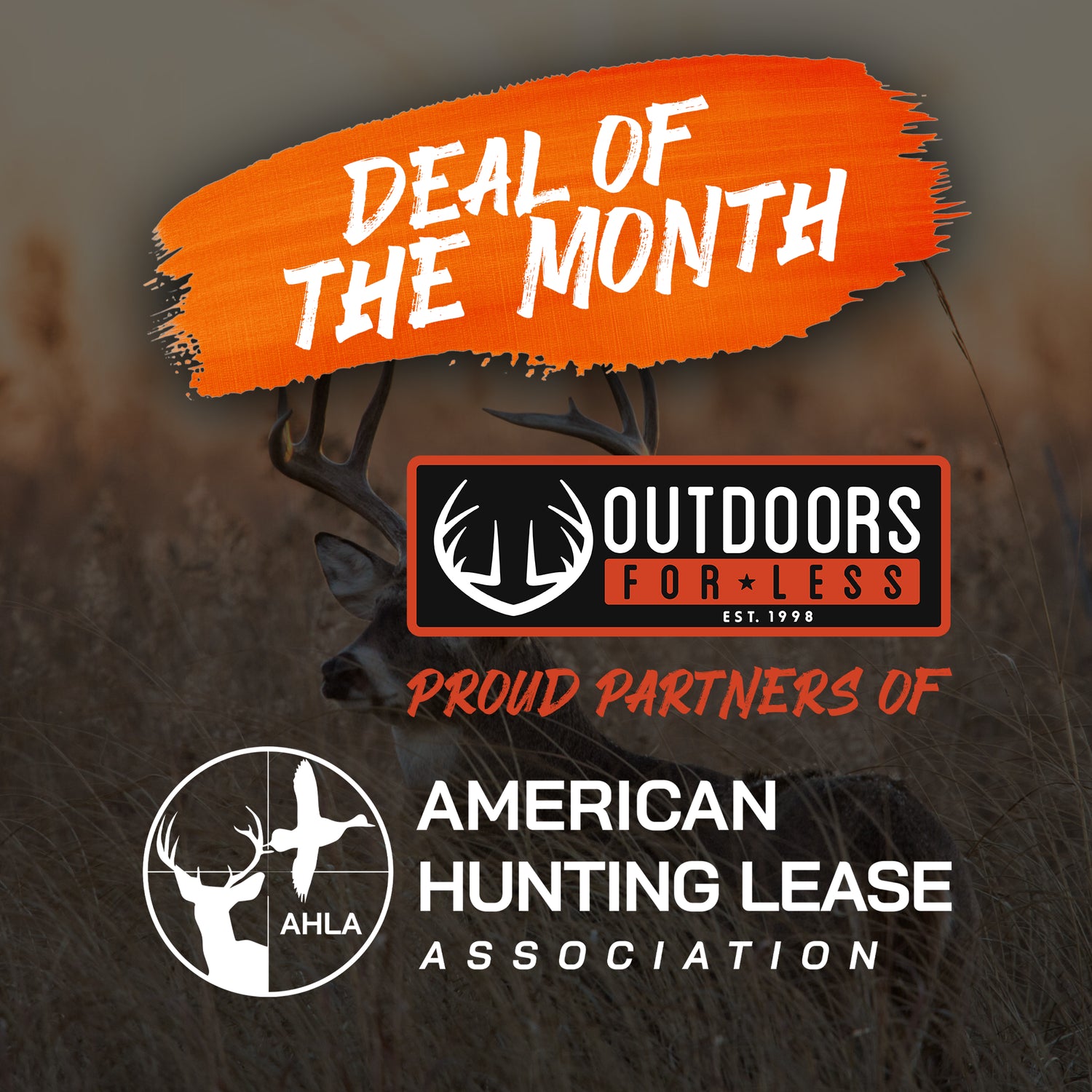 AHLA – Outdoors For Less